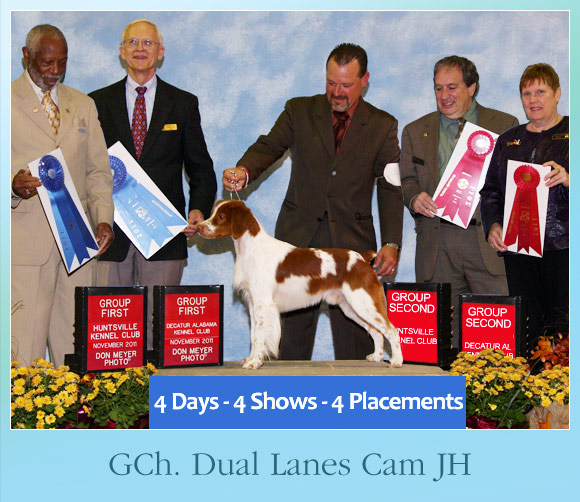 The Weekly Winners Gallery from The AKC