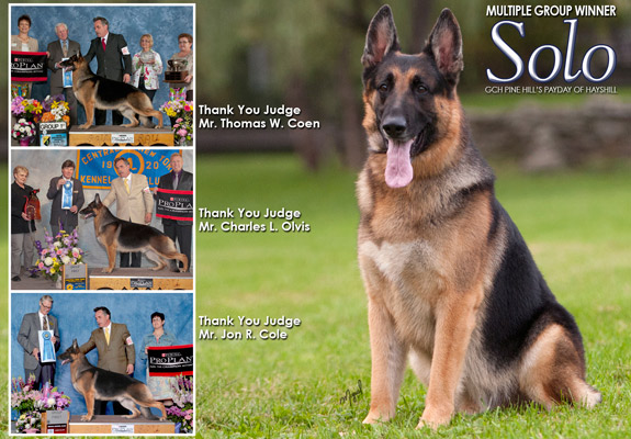 The Weekly Winners Gallery from The AKC