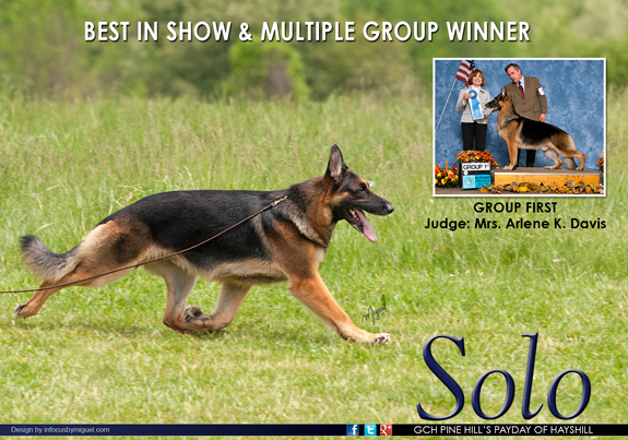 The Weekly Winners Gallery from The AKC