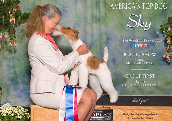 The Weekly Winners Gallery from The AKC