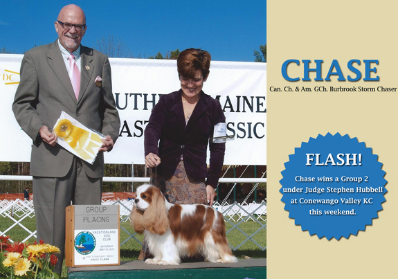 AKC Weekly Winners Gallery Blog