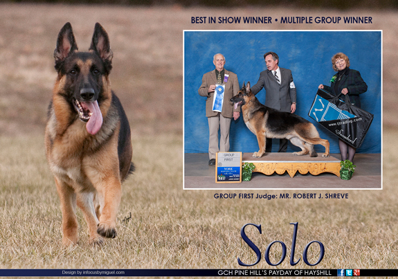 The Weekly Winners Gallery from The AKC