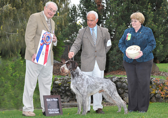 The Weekly Winners Gallery from The AKC