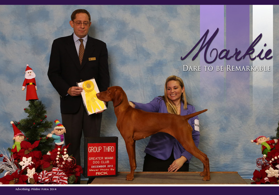 AKC Weekly Winners Gallery Blog