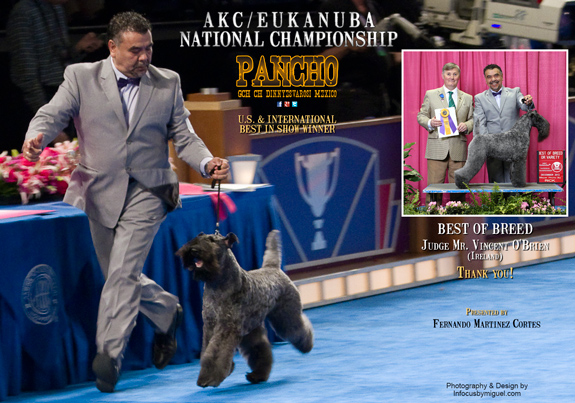 AKC Weekly Winners Gallery Blog