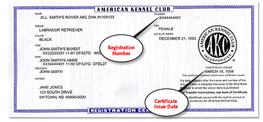 Owner - Online Form Status